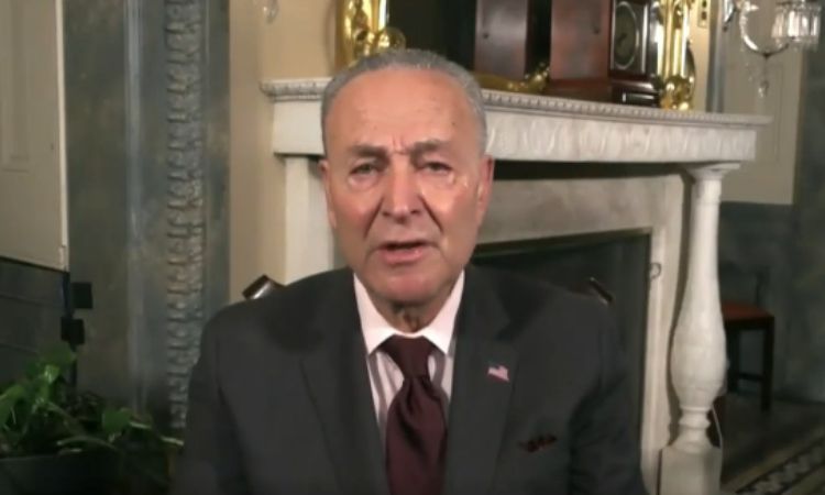 Chuck Schumer Accidentally Reveals The *Real* Reason Senate Dems Want ...